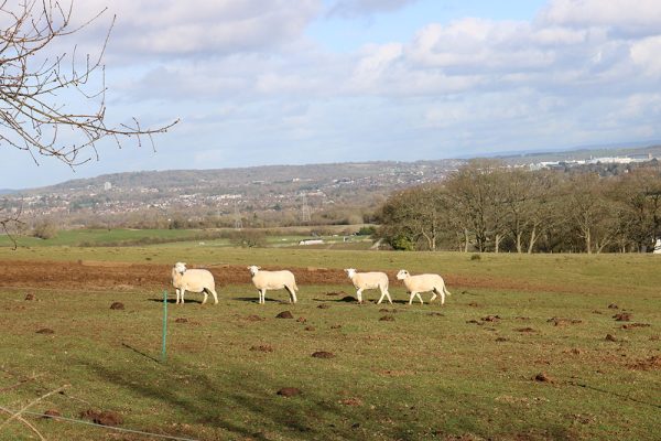 Carmelite Prioiry in Oxford | Home of the Carmelite Friars of Boars Hill