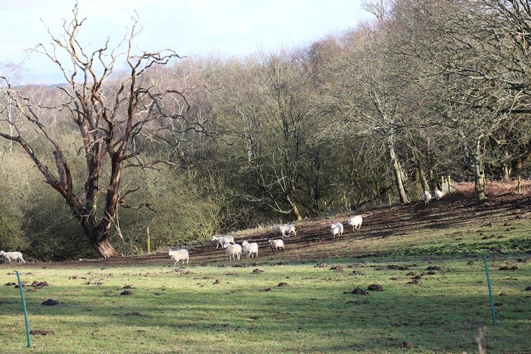 Carmelite Prioiry in Oxford | Home of the Carmelite Friars of Boars Hill